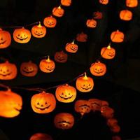 China 20 LED Battery Powered Waterproof Pumpkin String Lights 3V Indoor Outdoor Halloween Decoration for sale