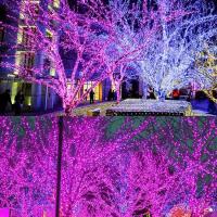 China 20m Solar Powered LED Christmas String Lights 200 Lights Waterproof for Party Wedding Decoration for sale