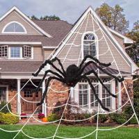 China 12 Pack Realistic Hairy Halloween Spider Decorations 36g Each Bendable Legs for Indoor Outdoor Spooky Carnival for sale