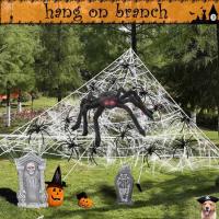 China 12 Pack Realistic Hairy Halloween Spider Decorations 36g Each Bendable Legs for Indoor Outdoor Spooky Carnival for sale