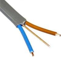 China Flat Twin Earth Electrical Cable 2x1mm2+E PVC Insulated Copper Wire 450/750V for sale
