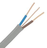 China Flat Twin Earth Electrical Cable 2x1mm2+E PVC Insulated Copper Wire 450/750V for sale
