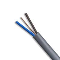 China Flat Twin Earth Electrical Cable 2x1mm2+E PVC Insulated Copper Wire 450/750V for sale
