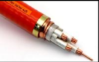 China 0.6/1kV BBTRZ Fire Retardant Mineral Insulated Cable 1-5 Cores 2.5-240 sqmm for sale