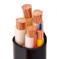 China 0.6/1KV Copper Core XLPE PVC Steel Tape Armoured Power Cable 1.5-300mm2 for sale