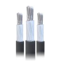 China Black 14 AWG Solid Copper Insulated Power Cable 600V PVC High Temperature for sale