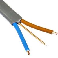 China 2x1mm2+E Copper Flat Cable Two Core PVC Insulated Stranded Flat Cord 450/750V for sale