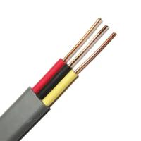 China 450/750V 2 Core PVC Flat Cable with Earth Wire SAA UL BS IEC Twin Copper for sale