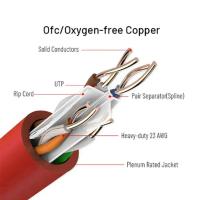 China CAT6 Bare Ethernet Cable 2 Feet Hassle Free UTP Computer LAN Network for sale