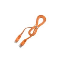 China Aluminum Foil Shield Cat6 SFTP Ethernet Patch Cable 1M 5Feet RJ45 Network Cord for sale