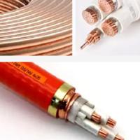 China Durable BTTZ Copper Sheathed Mineral Insulated Cable 750V Fireproof MICC Wire for sale