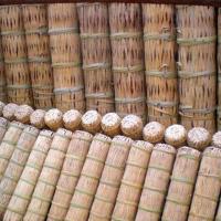 China Hot Water Brewing Anhua Most Healthy Tea Improve Immunity Weight Loss for sale