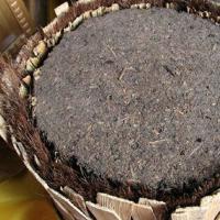 China Personal Drinking Anhua Big Leaf Tea , Chinese Weight Loss Tea  Long Shelf Life for sale
