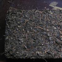 China Hunan Dark Tea No Pollution Long Term Storage Under Clean Dark Tea for sale