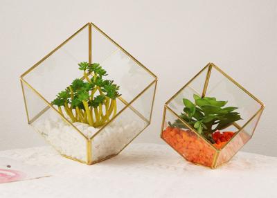 China Micro landscape glass artifact cover display box house succulent plant eternal flower box kids gift wholesale for sale