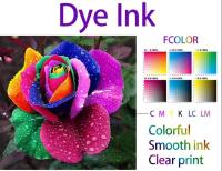 China FCOLOR 100ml Universal Refill Ink Kit Dye Ink Compatible for Hp for Canon Brother for Epson Printer Ink All Models for sale