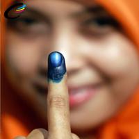 China FCOLOR China Factory 50ml Indelible Ink 20% Silver Nitrate Election Ink for Election for sale