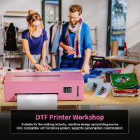 China Semi Auto A4 Small DTF Flatbed Printer PET Film T Shirt Textile Printing Machine for sale