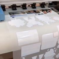 China FCOLOR 40*50cm 13*19 Inch Size Hot Peel DTF PET Film for Epson L1800 Dtf Printer Printing Dtf Ink Film Transfer on Clothing for sale