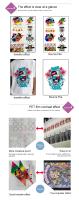 China DTF Film Roll 60cm for Clothing A3 30cm 37cm 43cm DTF Transfer Film PET Film for Easy Customization for sale