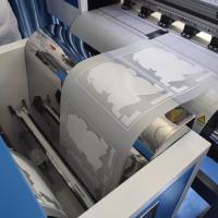 China 60CM Roll Single Glossy Heat Transfer DTF Pet Film for I3200 XP600 4720 Dtf Printing Machine for sale