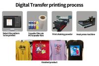 China FCOLOR 30cm DTF Cold Peel Film Heat Transfer Printing DTF PET Films for Tshirt Printing for sale