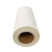 China FCOLOR 12inch 30 CM Size Hot Peel DTF PET Film Roll For Heat Transfer Printer for sale