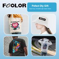 China FCOLOR 100 Sheets A4 A3 DTF Dual-Sided Matte Transparent Printable PET Film 8.3