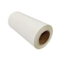 China 30CM 12 Inches Daul-cold Peel  DTF Transfer Printing Film for Inkjet DTF Printer with XP600 DX5 I3200 L1800 Head for sale