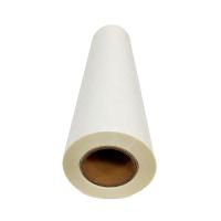 China 30CM 12 Inches Daul-cold Peel  DTF Transfer Printing Film for Inkjet DTF Printer with XP600 DX5 I3200 L1800 Head for sale