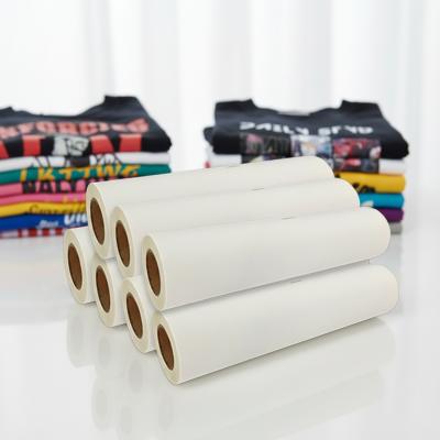 China FCOLOR Factory Direct Sell Cold Peel 30cm 60CM Matte PET Heat Transfer Film 75U 100U Printing PET DTFfilm for DTF Printer for sale