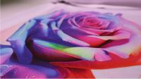 China FCOLOR C M Y K Textile Pigment DTG Ink with Dupont White Dtg Ink for Epson 5113 4720 for sale