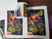 China FCOLOR Direct Sublimation Ink Supplier Factory Wholesale 1000ML 500ML Sublimation Ink for Large Printer I3200 XP600 Printing Ink for sale