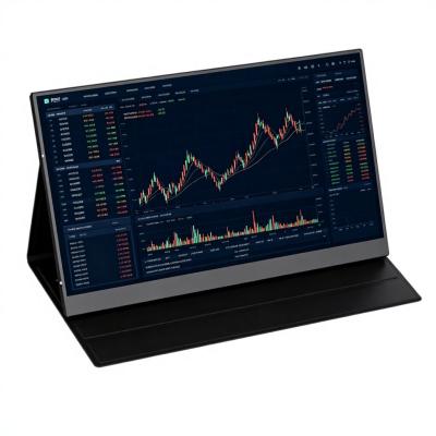 China New Source Factory 15.6Inch Portable LCD Backlit Display 16:9 PS4 External Screen Laptop Expansion Sub Screen for sale