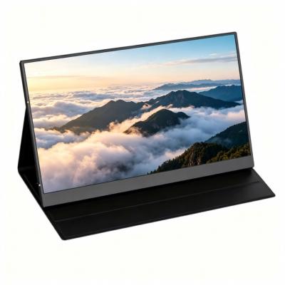 China Source Factory High Cost Performance 15.6Inch 16:9 External Screen Portable LCD Laptop Extension Sub Monitor for sale