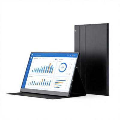 China High Cost Performance Source Factory 14Inch LED Display 300cd/m Brightness Laptop External Extension Monitor for sale
