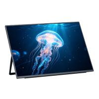 China 2026 New Portable 23.8 Inch IPS LED Backlit Type C 100Hz 6ms Response Monitor Stand PC Expansion Display for Switch for sale