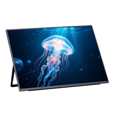 China 2026 New Portable 23.8 Inch IPS LED Backlit Type C 100Hz 6ms Response Monitor Stand PC Expansion Display for Switch for sale