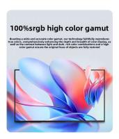 China Wholesale 21.4 Inch IPS Panel 100Hz 6ms Portable Screen with Speaker Type-C for Laptop Business Extension for sale
