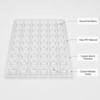 China Custom Clear PET Blister Tray 6x8 Cell Matrix Packaging Recyclable Eco Friendly Design for Consumer for sale