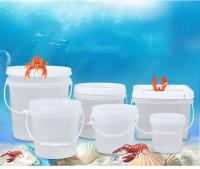 China Accessories With Lid Eco Friendly White Plastic Food Storage Bucket with Airtight Lids for sale