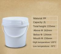 China 100% Material Fancy 2L Plastic Ice Fruit Container for Food Grade Storage Bucket for sale