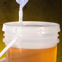 China Eco-Friendly 5L Capacity Brewery Equipment Wine Barrels Plastic Enzyme Bucket Beer Keg With Tap for sale