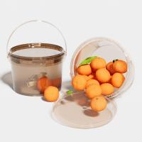 China Plastic Food Storage Buckets With Lids 300ml 500ml 1L 2L Food Grade Transparent Bucket For Fruit for sale