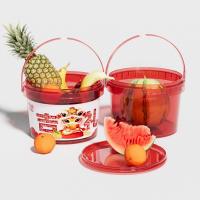 China Plastic Food Storage Buckets With Lids 300ml 500ml 1L 2L Food Grade Transparent Bucket For Fruit for sale