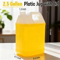 China 10L HDPE Plastic Jerry Can for Oil Water Wine and Spice Transport In Mold Label Printing White Black Blue Translucent Plastic F-Style Jug for sale
