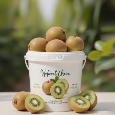 China 300ml~10L Breathable Fresh Keeping Fruit Packaging Bucket with Lid Handle Fruit Storage Bucket for Kiwi Fruit for sale