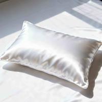 China 25 Momme Mulberry Silk Pillowcase 20