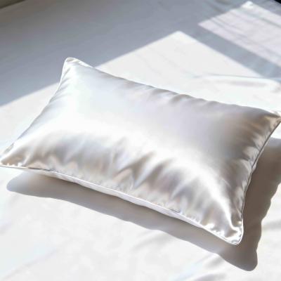 China 25 Momme Mulberry Silk Pillowcase 20
