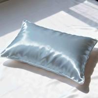 China 6A Grade Blue Silk Pillowcase 22 Momme 100 Percent Silk Pillowcase for sale